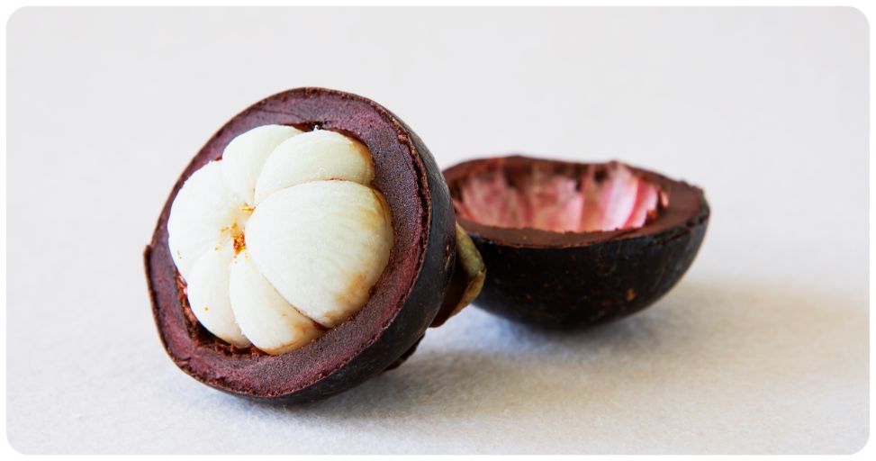 Eliquides fruit exotique : Et si vous testiez le Mangoustan